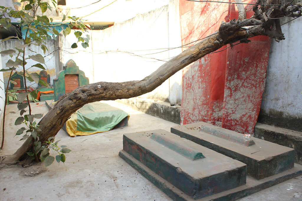 Hazrat Nizamuddin Auliya and Amir Khusrau through the lens of a young ...